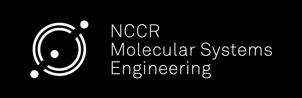 Corporate Design - NCCR MSE